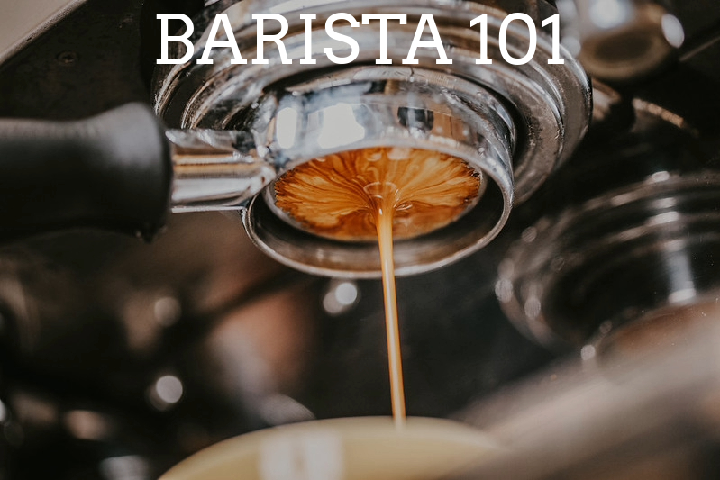 Barista 101 Essentials - 2025 - Badger and Dodo Coffee Academy